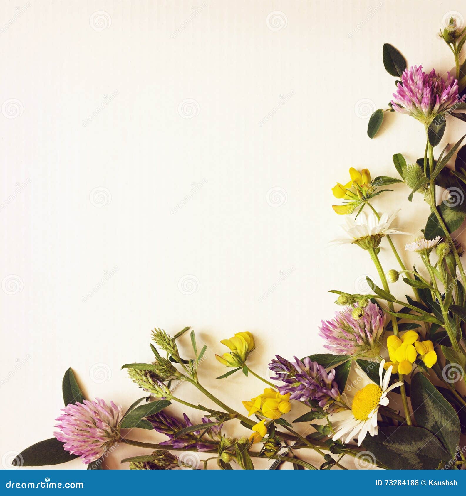 Wild flowers corner stock photo. Image of abstract, beautiful - 73284188