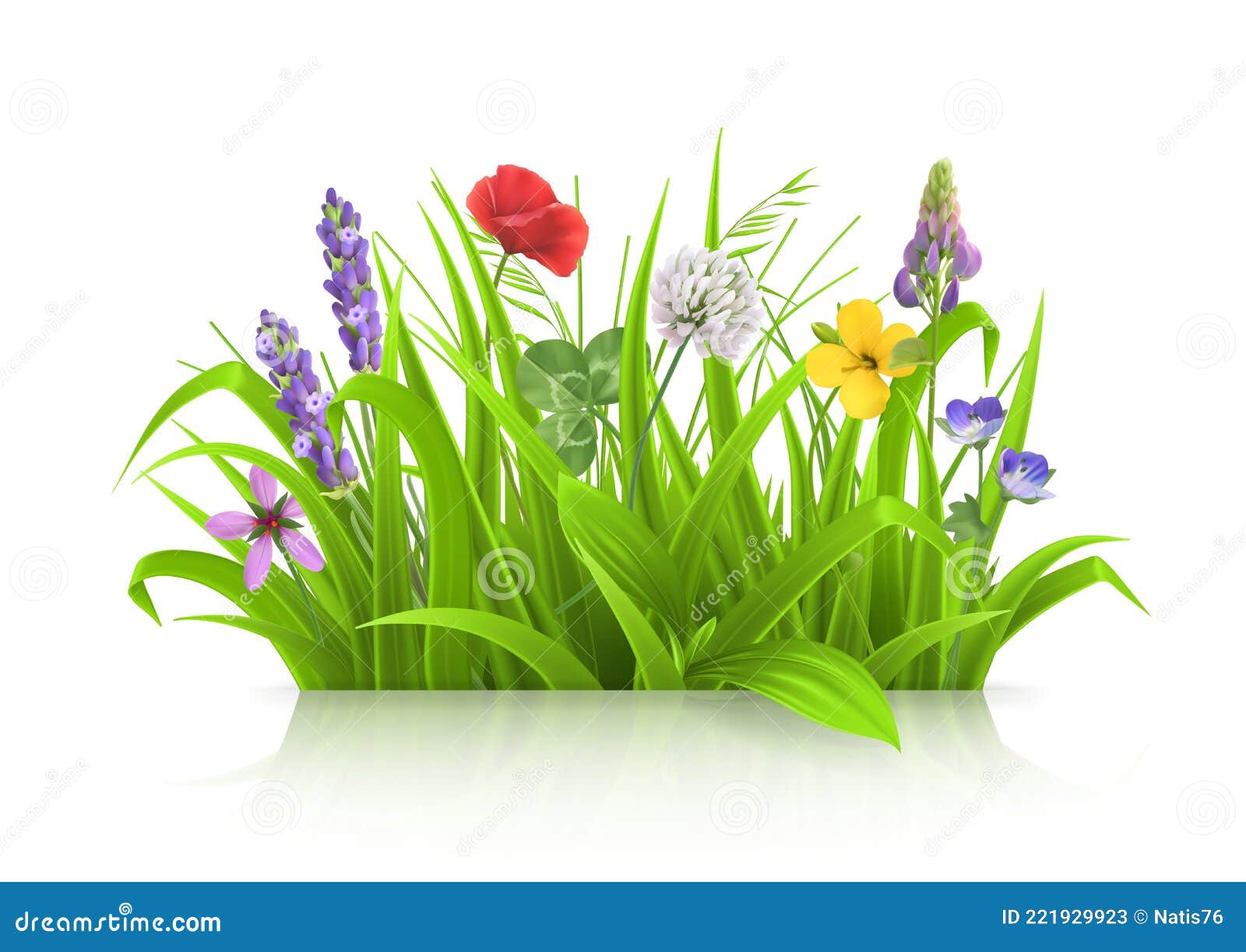 Wild Flowers, Forb Alpine Pastures. Stock Vector - Illustration of ...