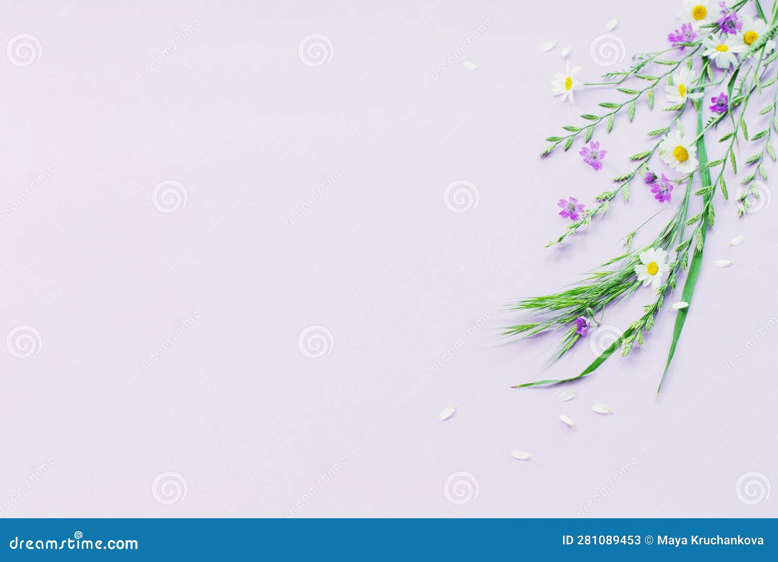 Wild Flowers on Purple Paper Background Stock Image - Image of branch ...