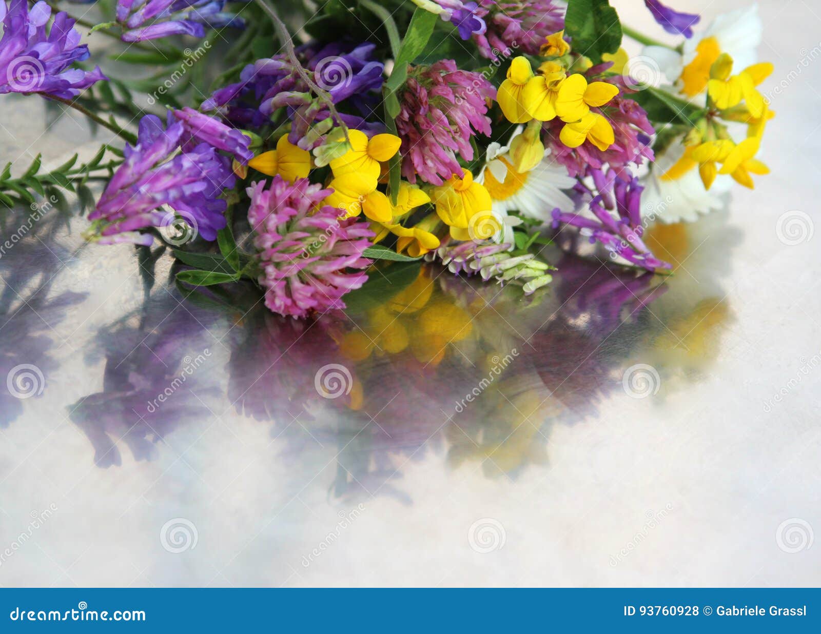 Wild Flowers on a Reflectice Surface Stock Photo - Image of decoration ...