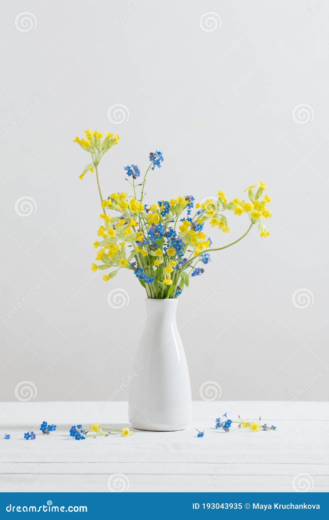 Flowers in Vase on White Background Stock Image - Image of green, flora ...