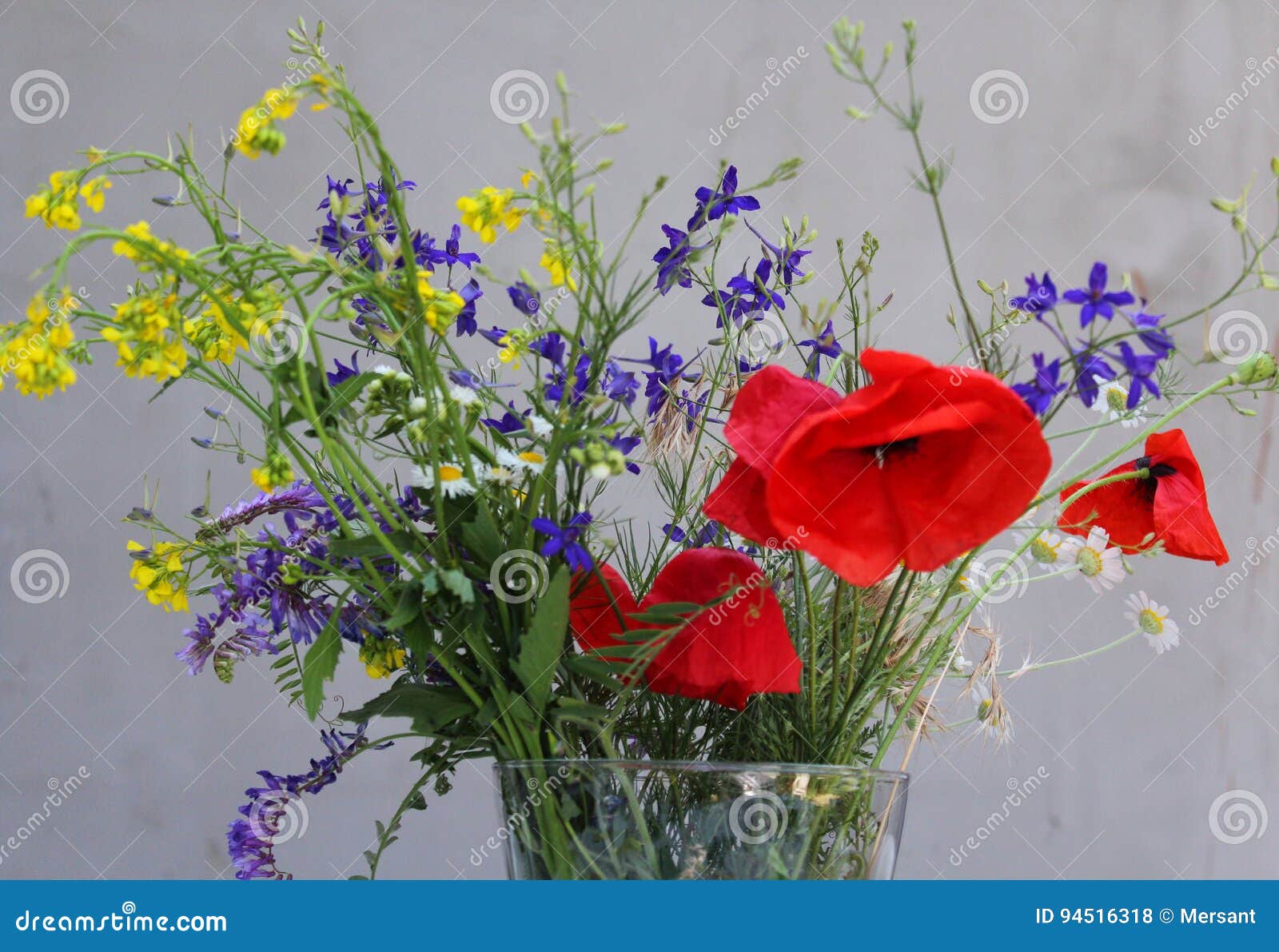 Wild flowres stock photo. Image of flowers, beautiful - 94516318