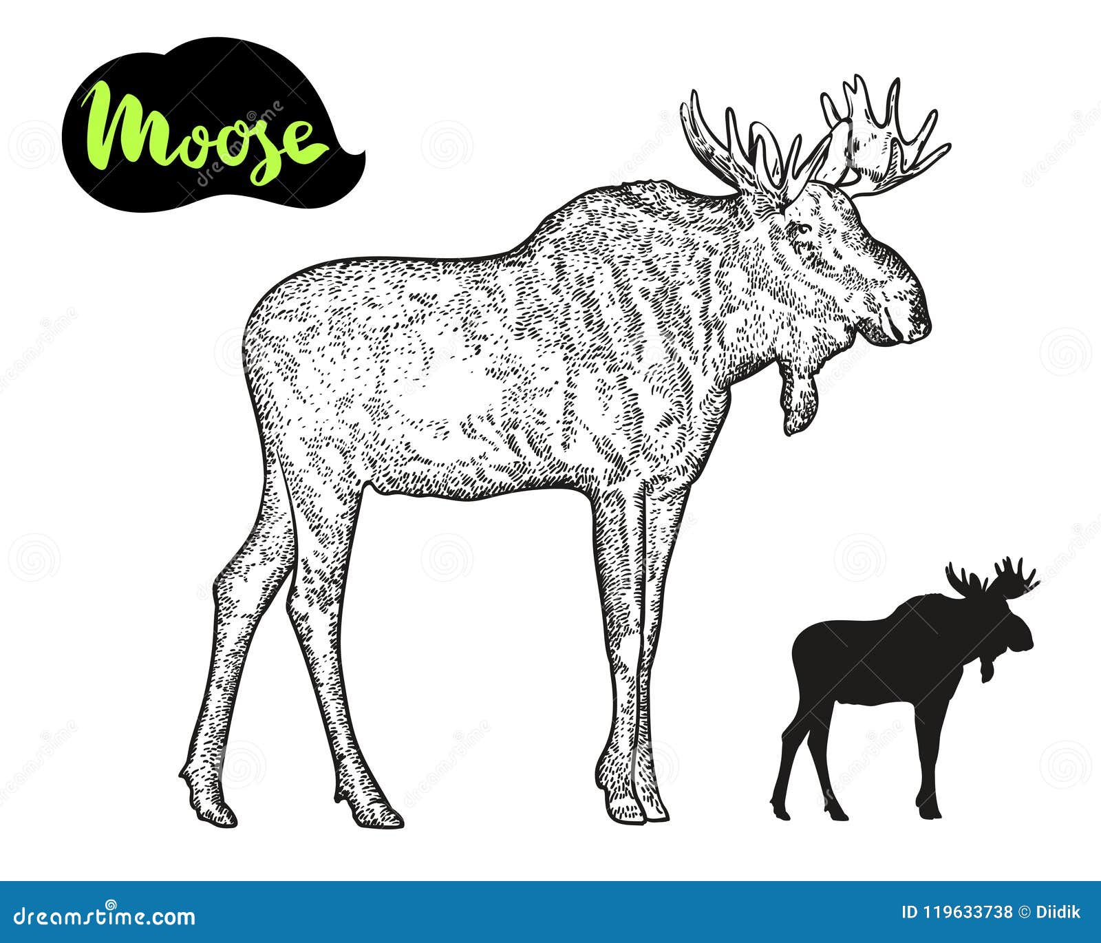 Moose Vector Hand Drawn Illustration. Stock Vector - Illustration of ...
