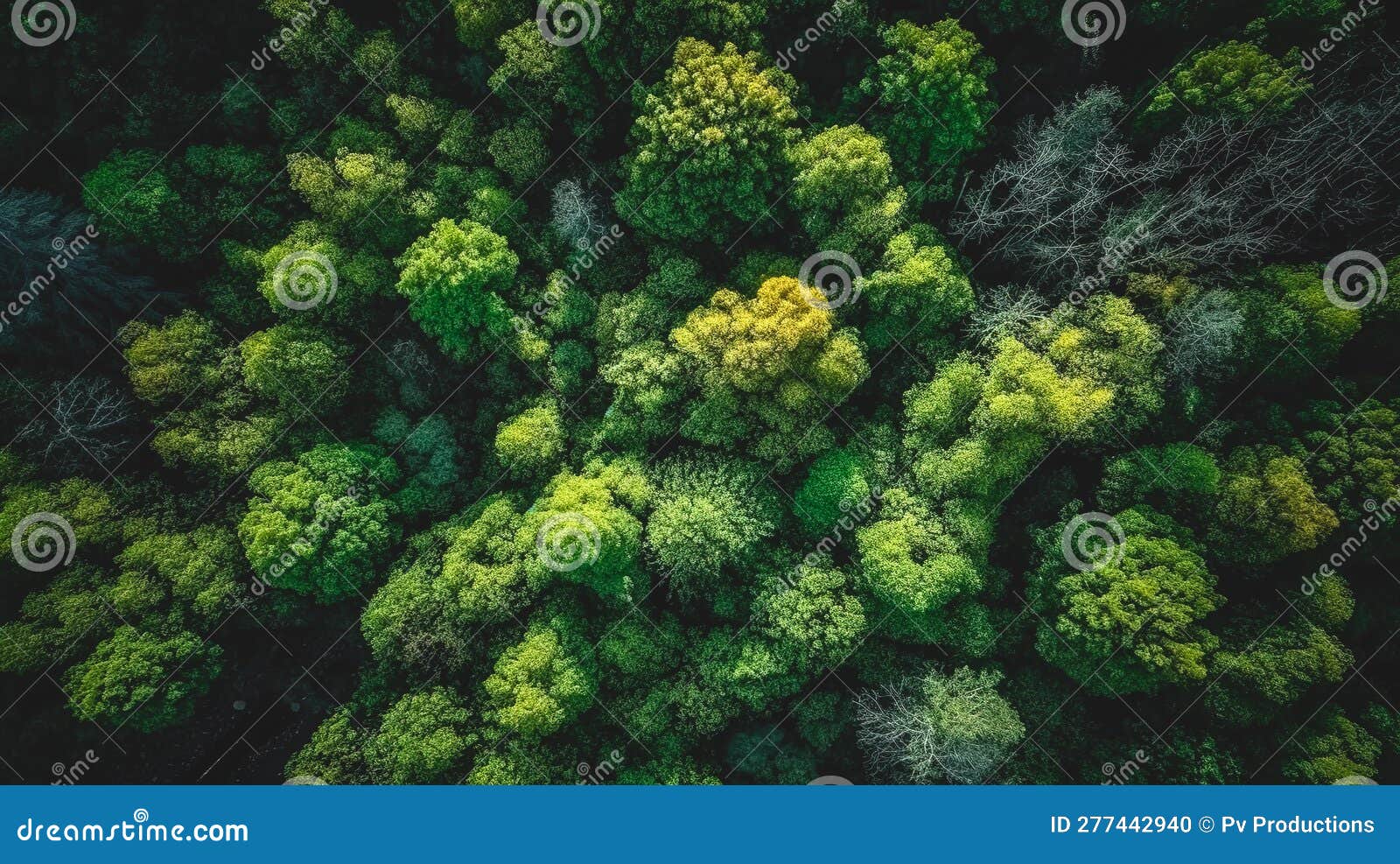 Wild Forest, Green Forest Texture Background, Generative AI. Stock ...