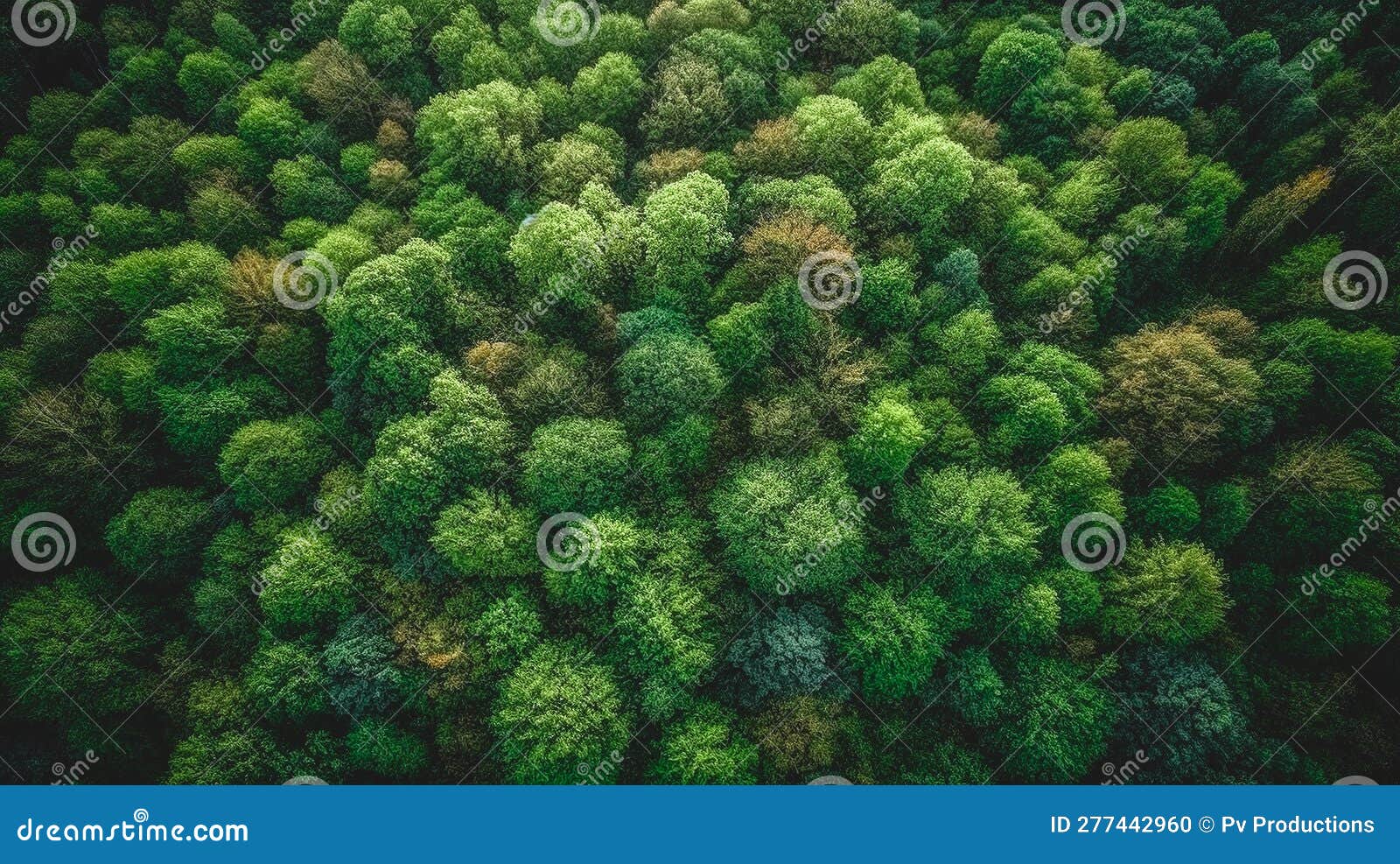 Wild Forest, Green Forest Texture Background, Generative AI. Stock ...