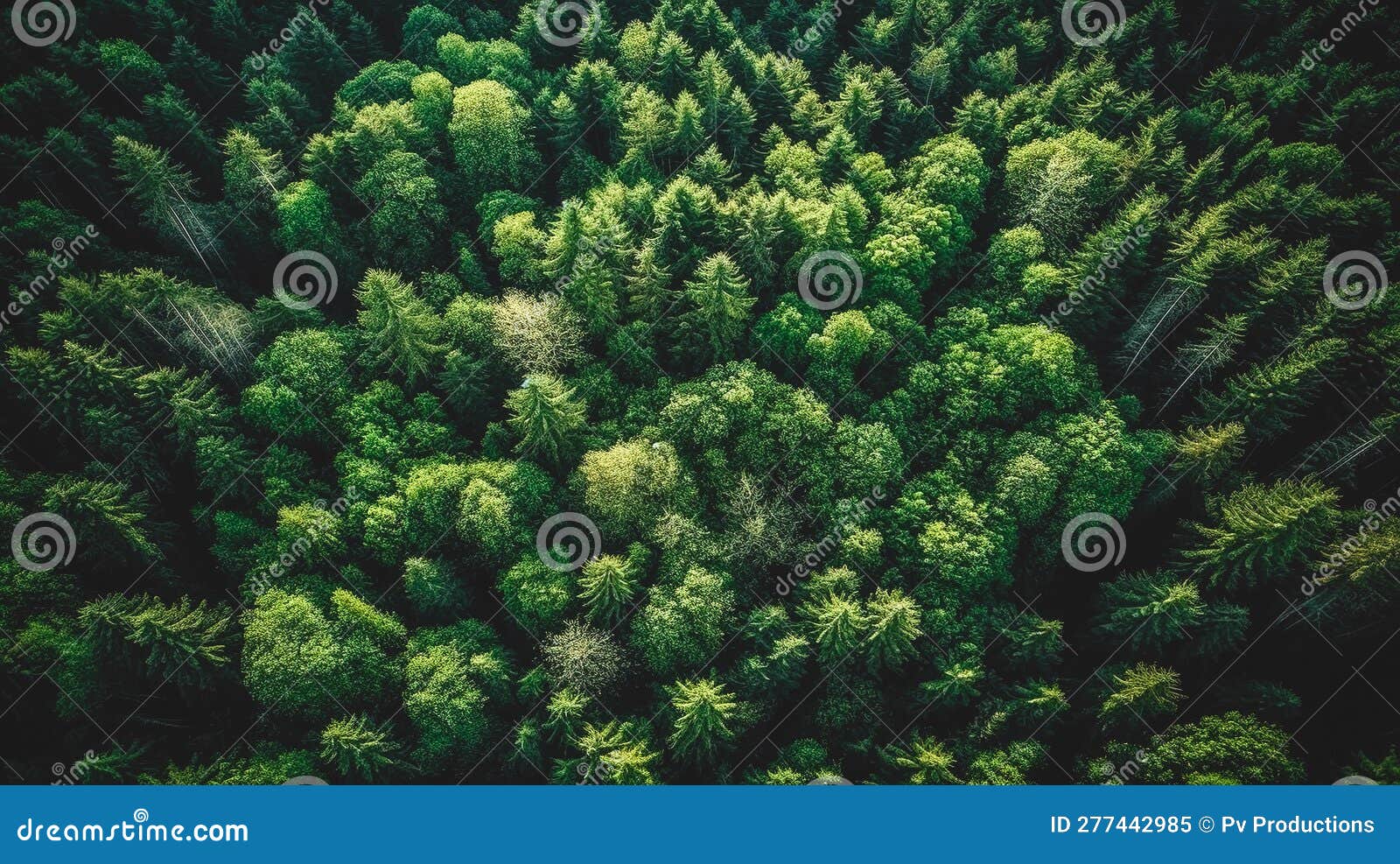 Wild Forest, Green Forest Texture Background, Generative AI. Stock ...