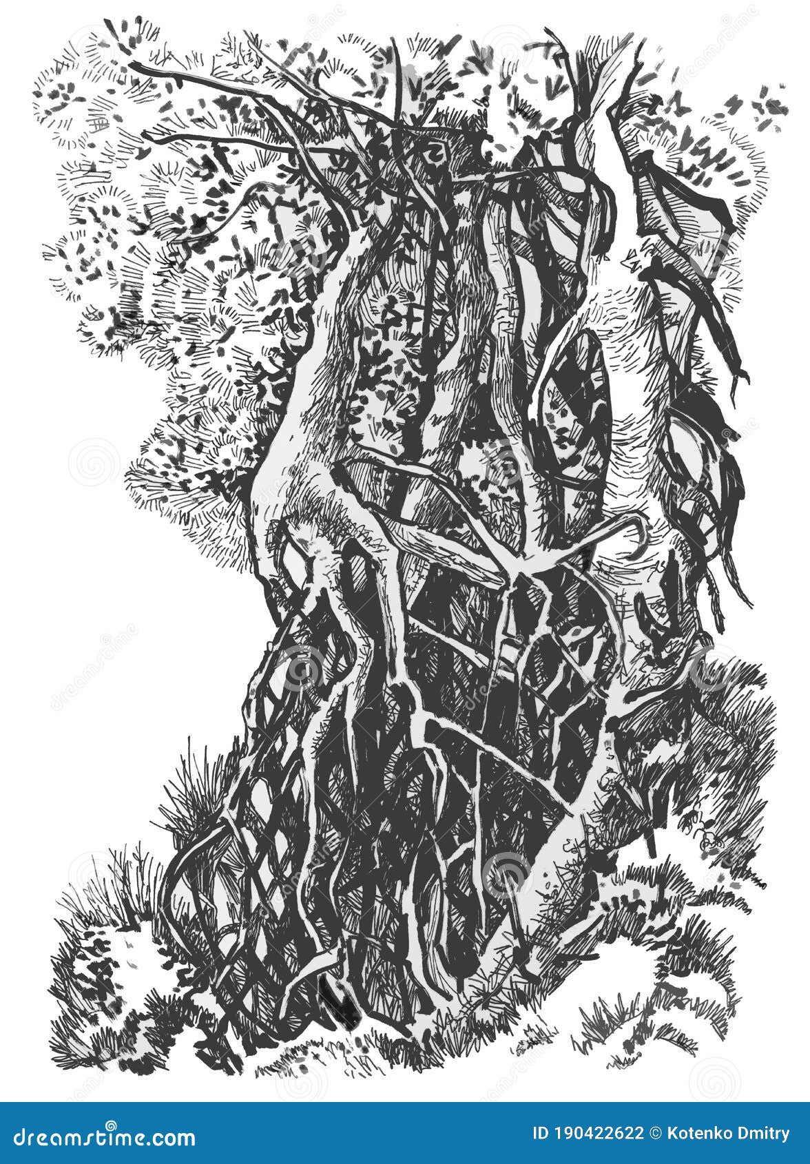 Wild Forest, Impenetrable Thicket. Ink Drawing. Stock Illustration ...