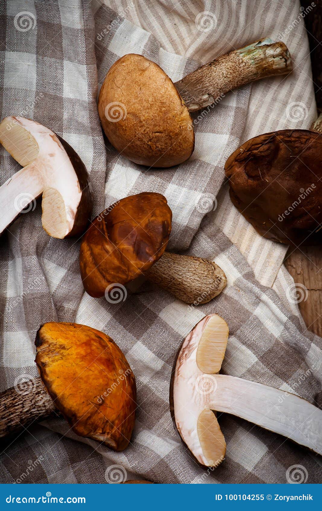 Wild Forest Mushrooms. Style Rustic Stock Image - Image of ingredient ...