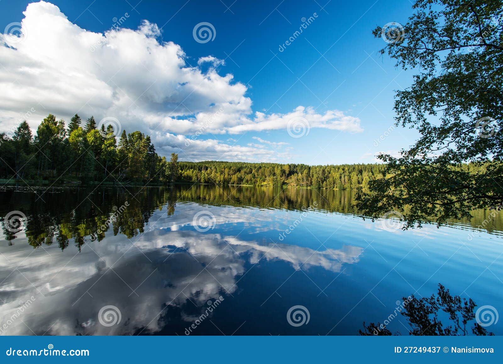 Wild forrest and lake stock image. Image of spring, coast - 27249437
