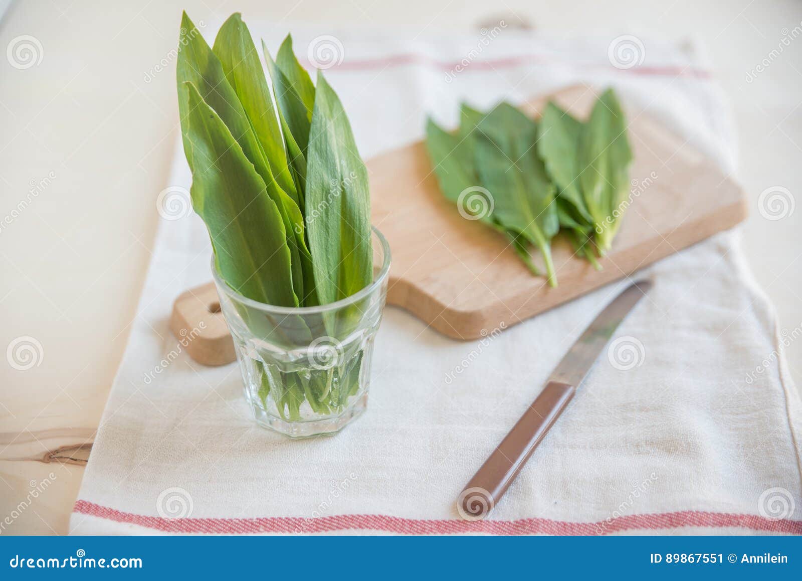 Wild garlic, ramson stock image. Image of garlic, healing - 89867551
