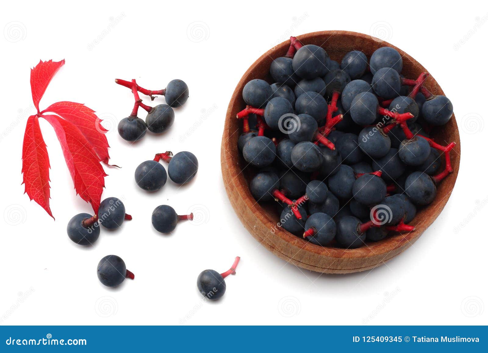 Wild Grapes Isolated on White. Top View Stock Image - Image of studio ...