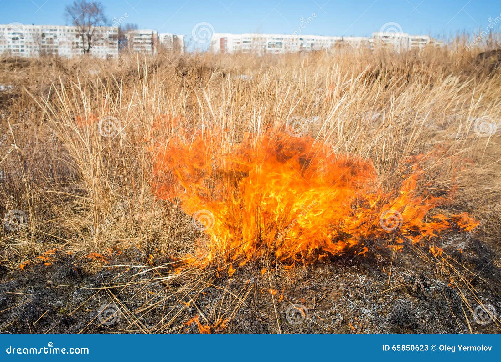 Wild grass on fire stock image. Image of brush, flames - 65850623