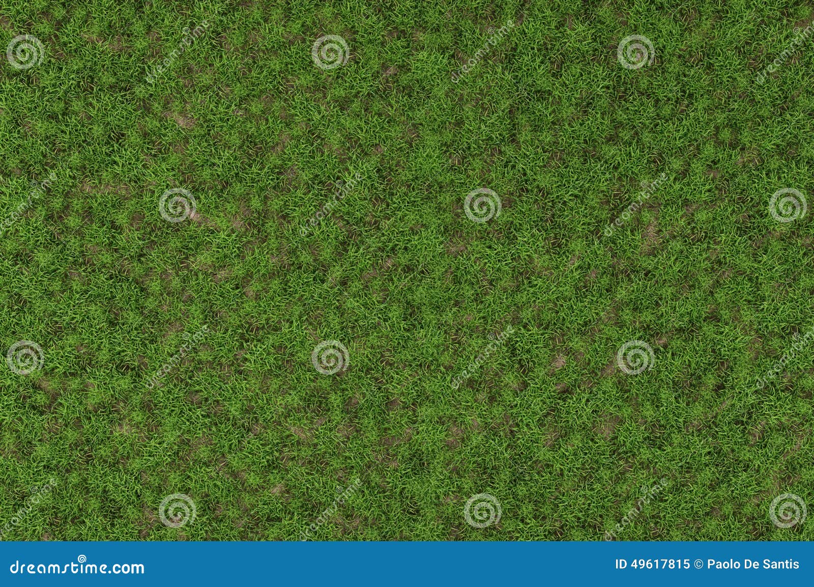 Wild grass texture stock illustration. Illustration of wild - 49617815