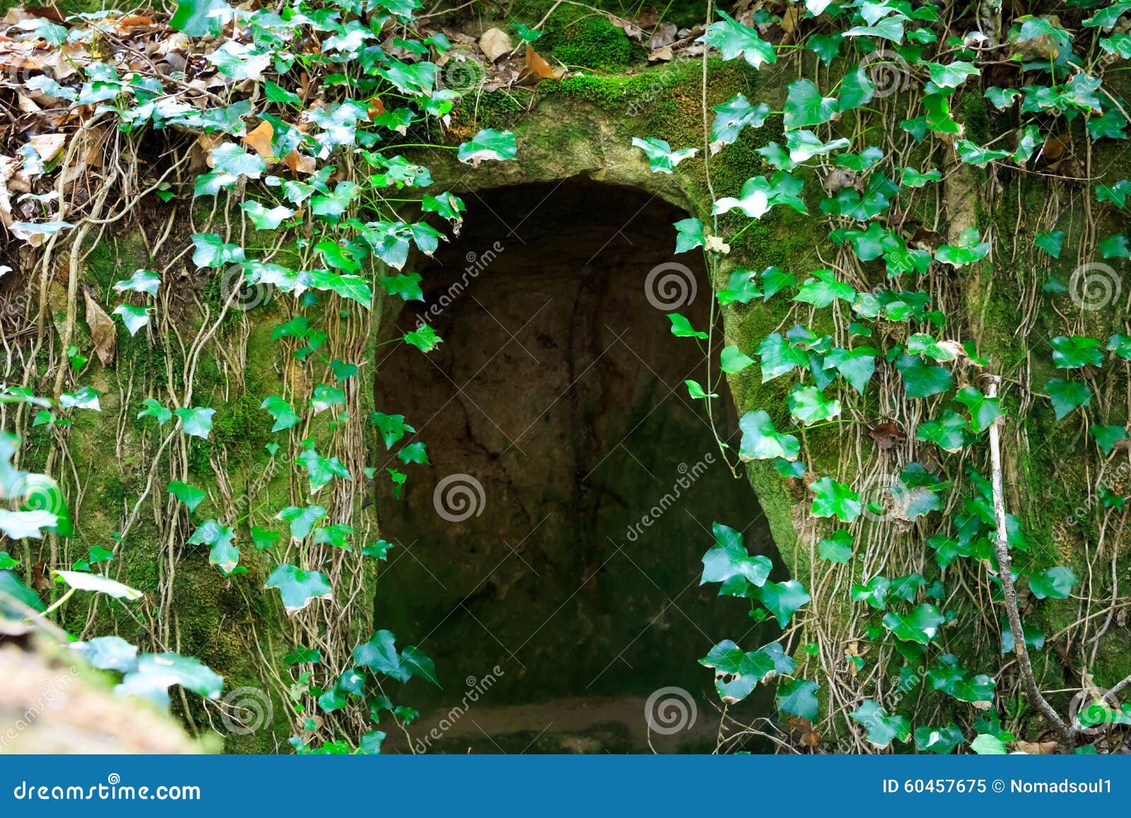Wild green cave stock image. Image of geology, beautyful - 60457675