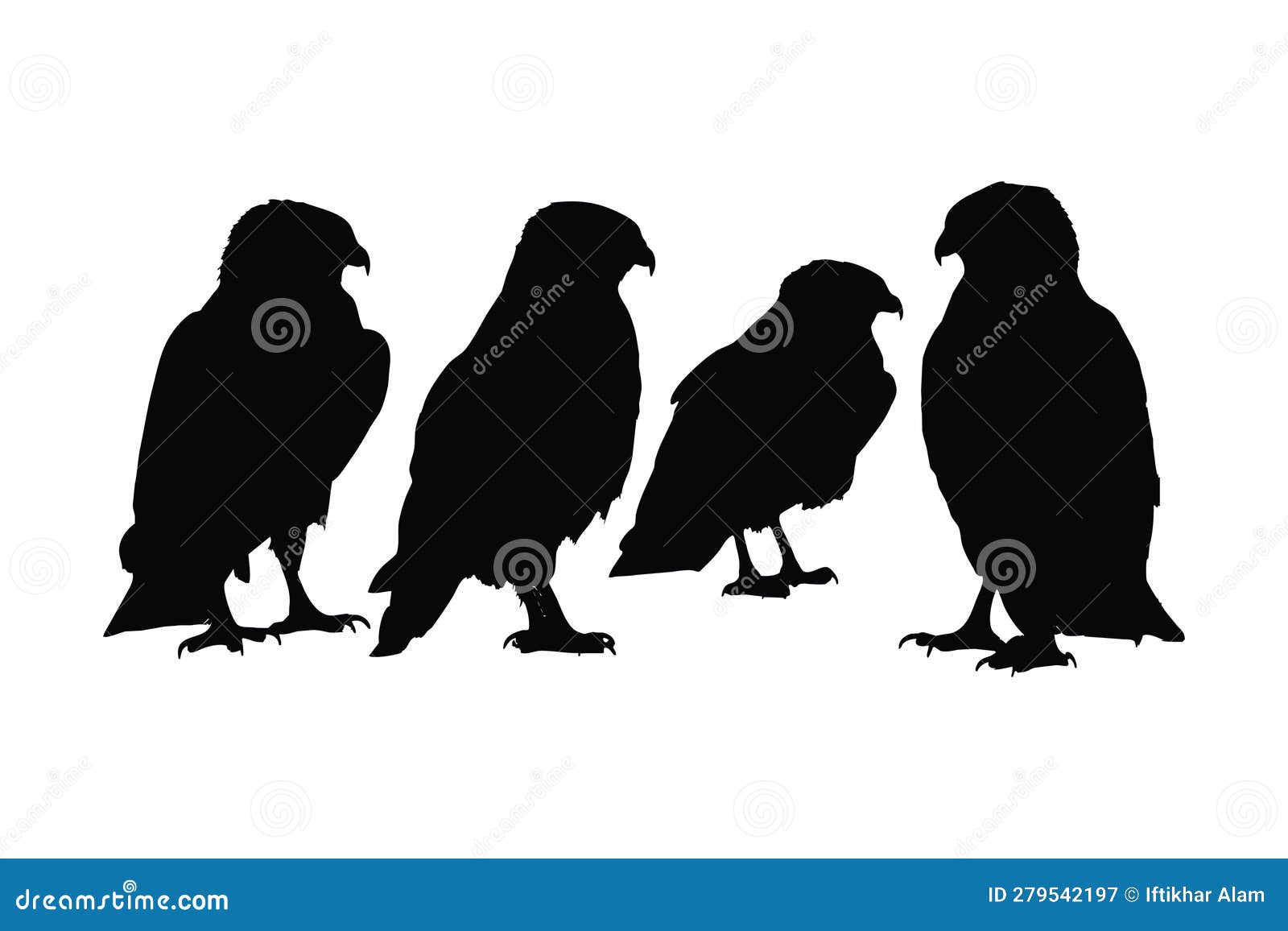 Wild Hawks Sitting Silhouette Set On A White Background. Carnivore Wild ...