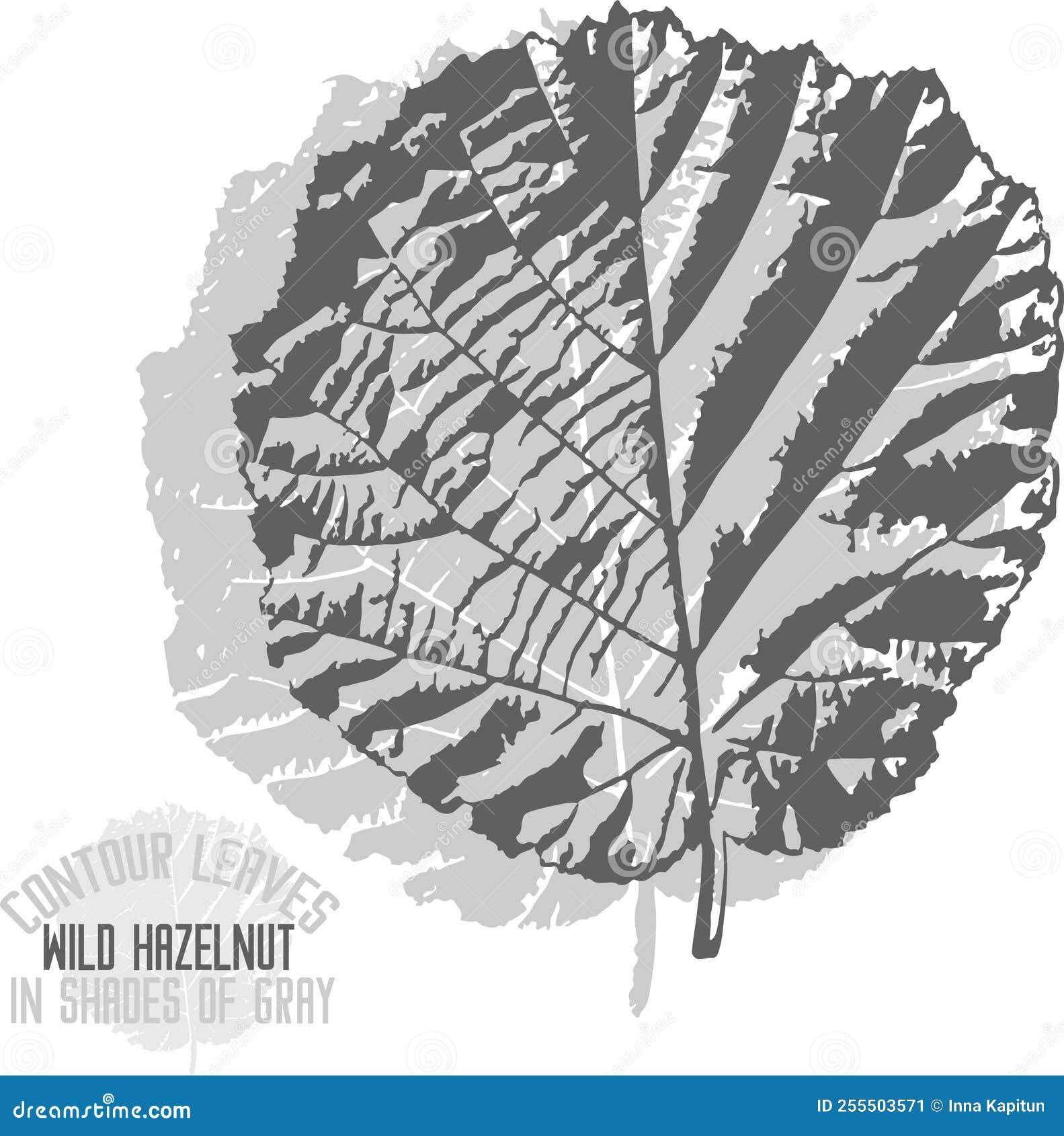 Wild Hazelnut Leafs Pattern Vector Illustration Stock Vector ...