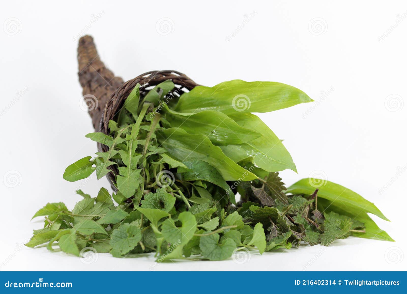 Wild Herbs in the Cornucopia Stock Photo - Image of folk, garlic: 216402314