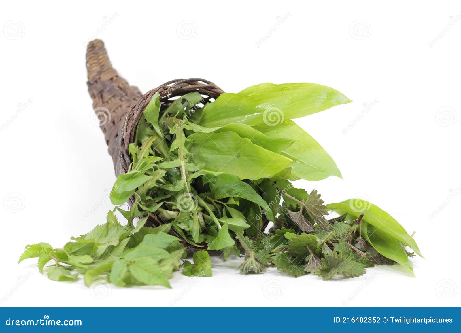 Wild Herbs in the Cornucopia Stock Photo - Image of erdefeu, medicine ...