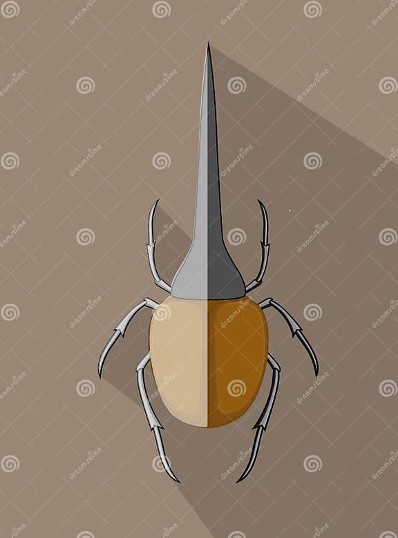 Wild Hercules Beetle Insect Stock Vector - Illustration of pediculosis ...