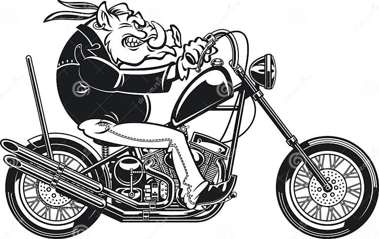 Wild Hog Riding Chopper Motorcycle Stock Vector - Illustration of ...