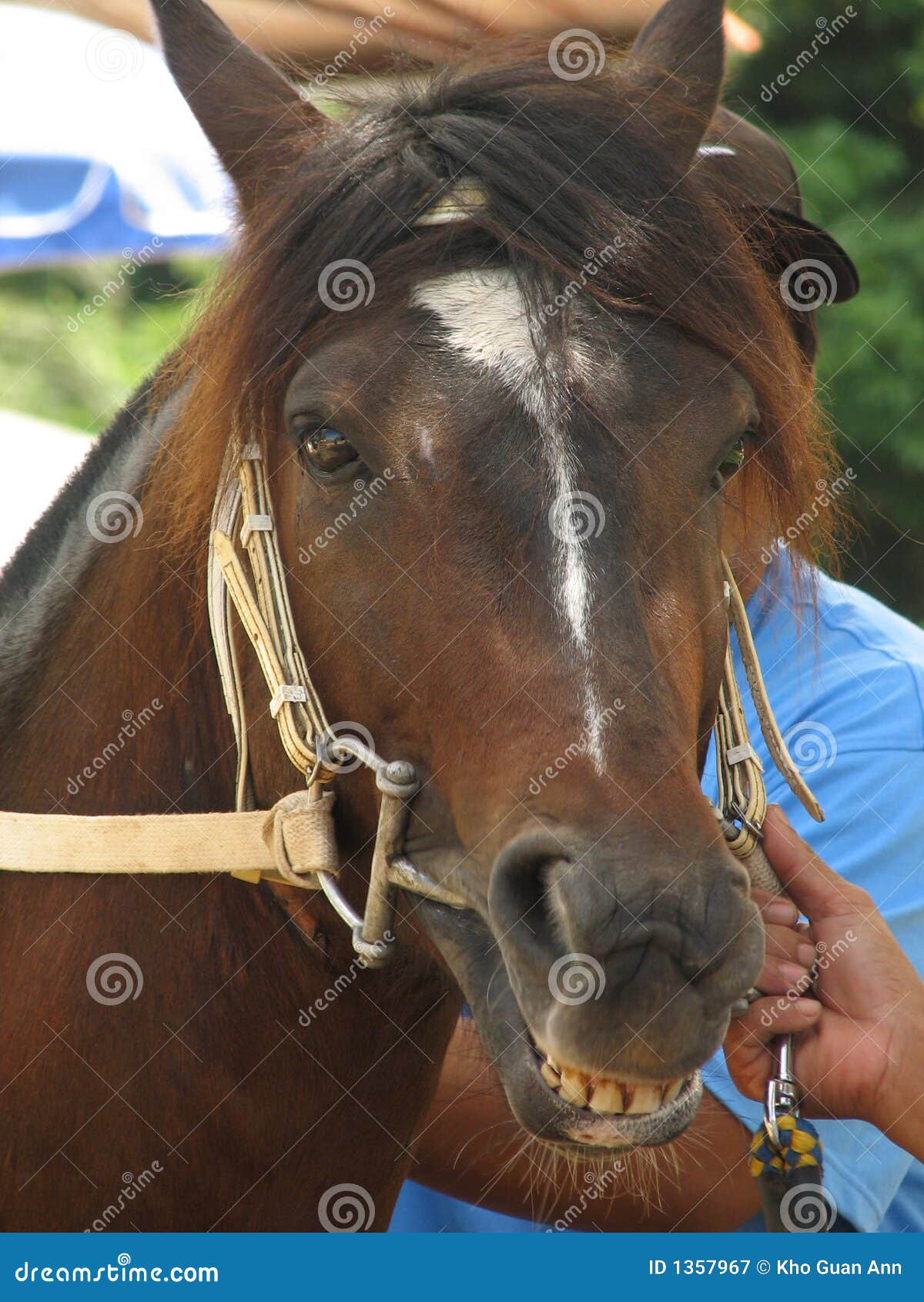 Man Helding Stock Photos - Free & Royalty-Free Stock Photos from Dreamstime