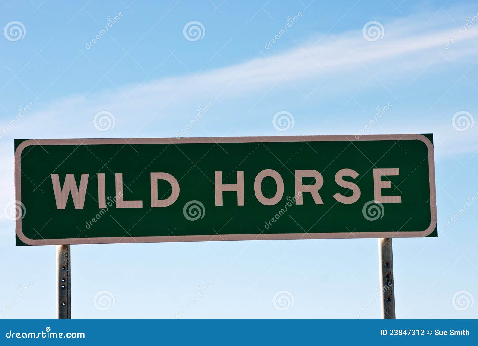 Wild Horse Sign stock photo. Image of notice, green, communication ...