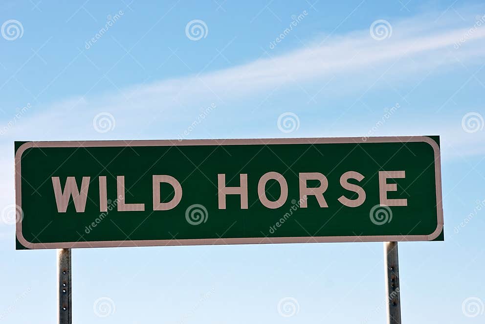Wild Horse Sign stock photo. Image of notice, green, communication ...