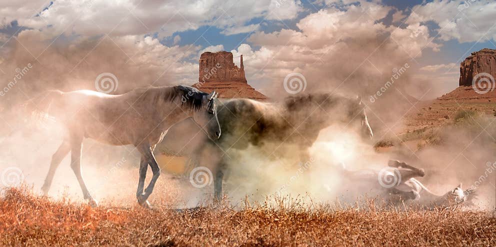 Wild horses in the dust stock image. Image of action - 26461259
