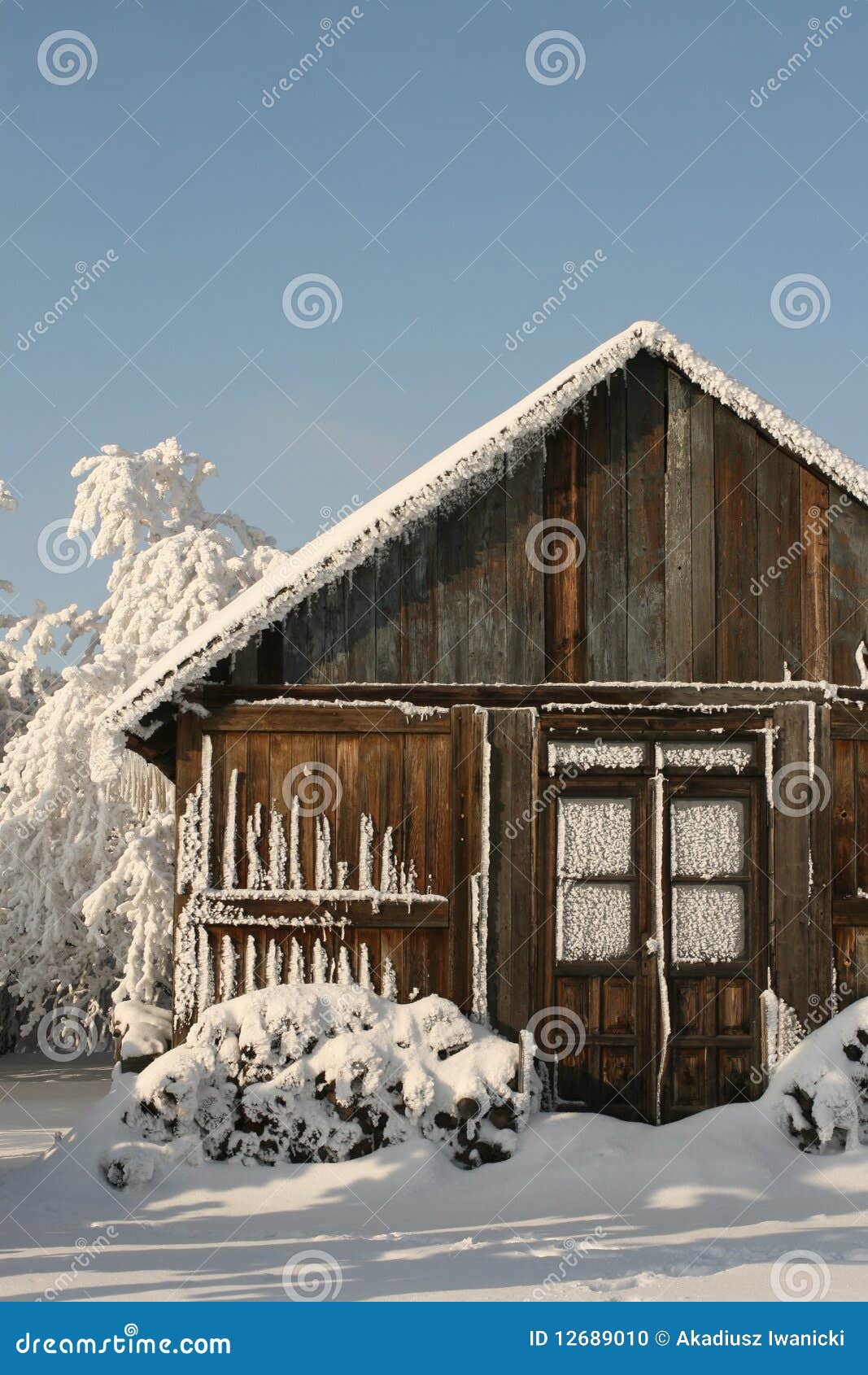 Wild human life stock photo. Image of frost, cottage - 12689010