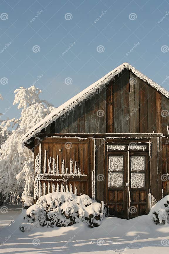 Wild human life stock photo. Image of frost, cottage - 12689010