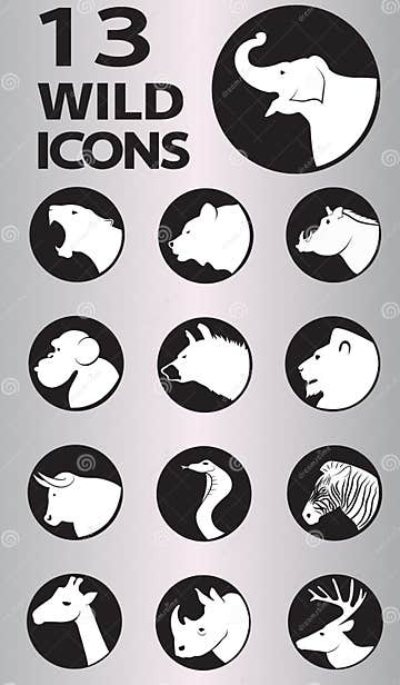 Wild icons collection stock vector. Illustration of bison - 41971244