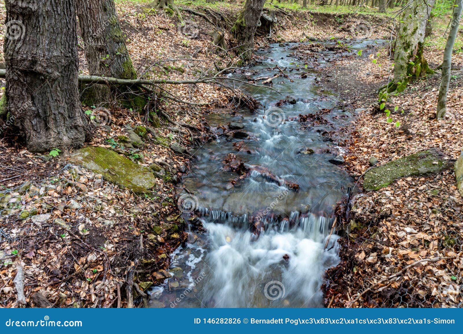 Wild Inviolate Untouched Stream Watercourse Stock Photo - Image of ...