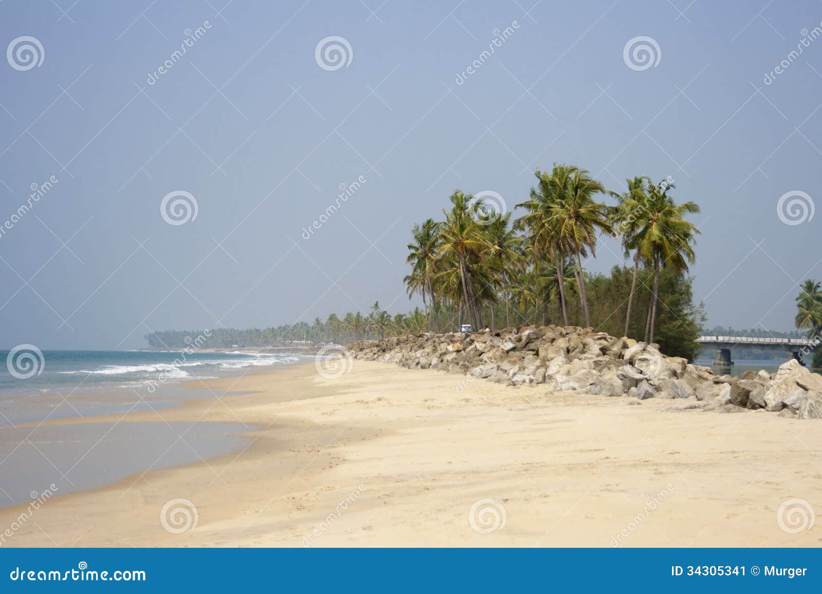 Wild Kappil beach. stock image. Image of coastline, tree - 34305341