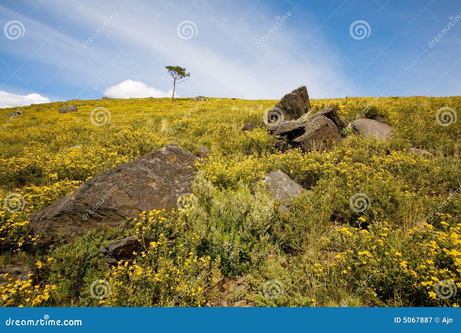 Wild Landscape stock image. Image of natural, background - 5067887
