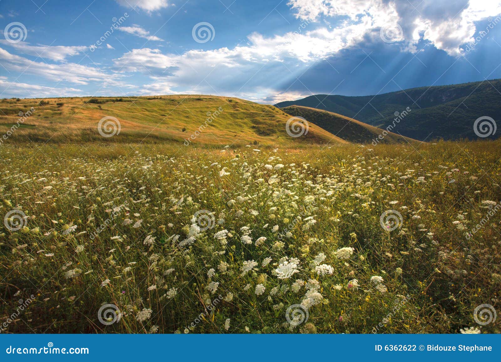 Wild landscape stock photo. Image of summer, landscape - 6362622