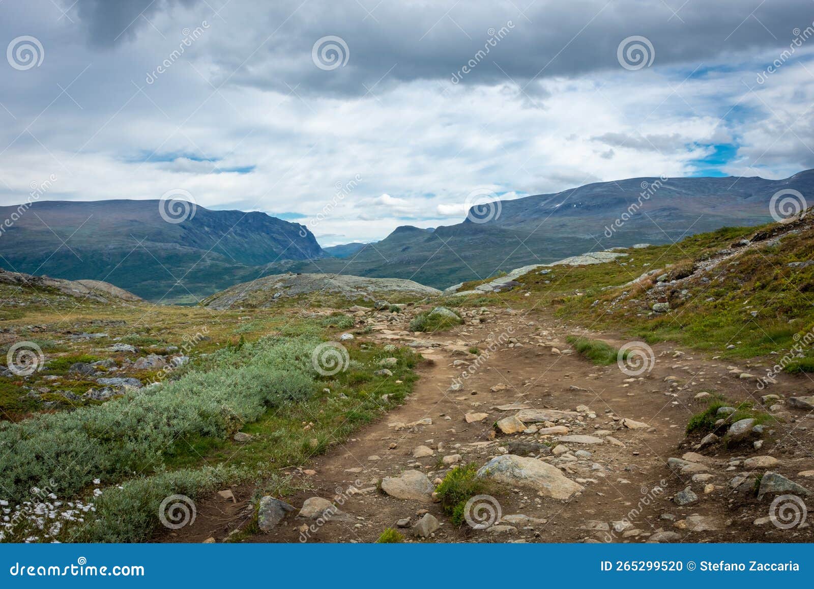 Wild Landscape of Jotunheimen National Park, Norway Stock Photo - Image ...