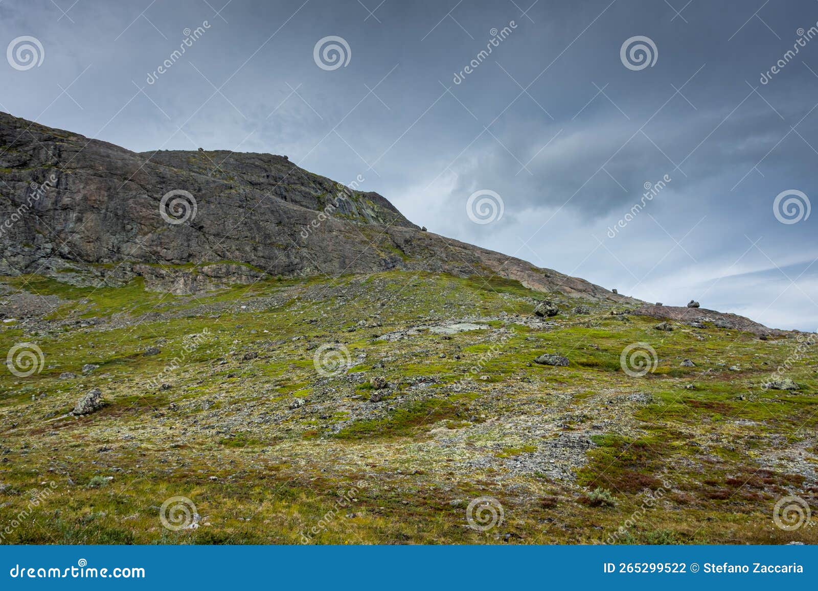 Wild Landscape of Jotunheimen National Park, Norway Stock Photo - Image ...