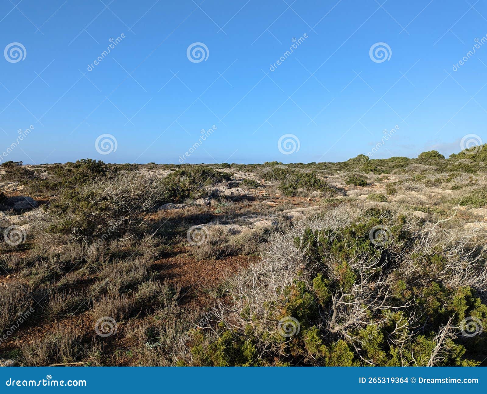 The Wild Landscape in Menorca Stock Photo - Image of hill, geology ...