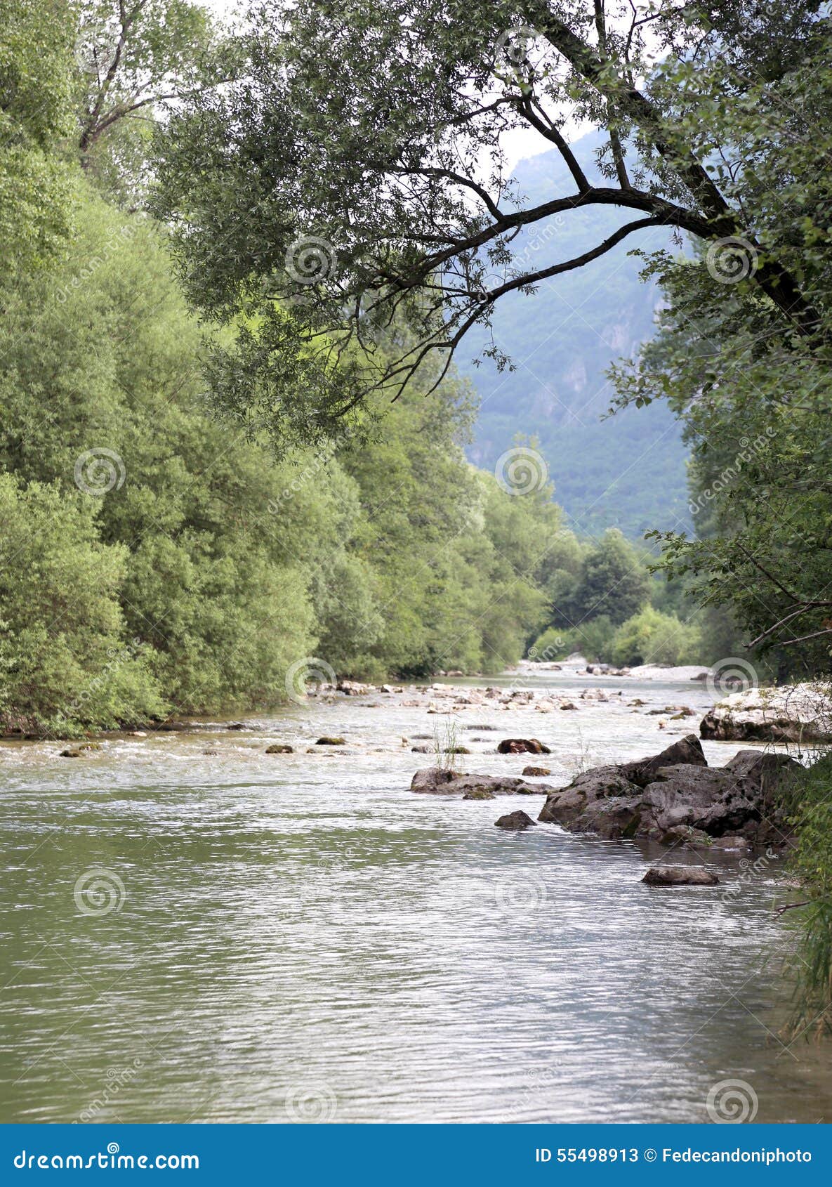 Wild Landscape with Mountain Stream and Trees Stock Image - Image of ...