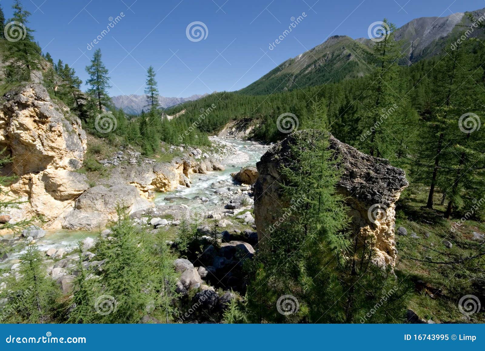 Landscape With Stream And Steep Shore, Fast Water Current Washed Soil ...