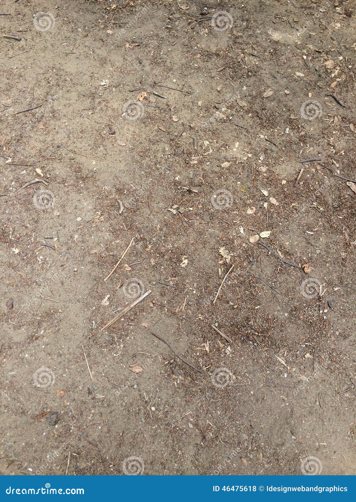 Wild life stock photo. Image of soil, wild, life, forest - 46475618