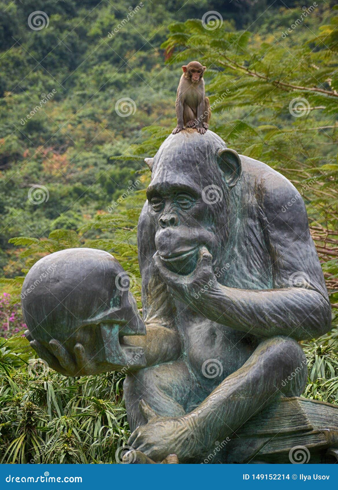 A Wild Living Monkey on the Head of a Stone Monkey Stock Photo - Image ...
