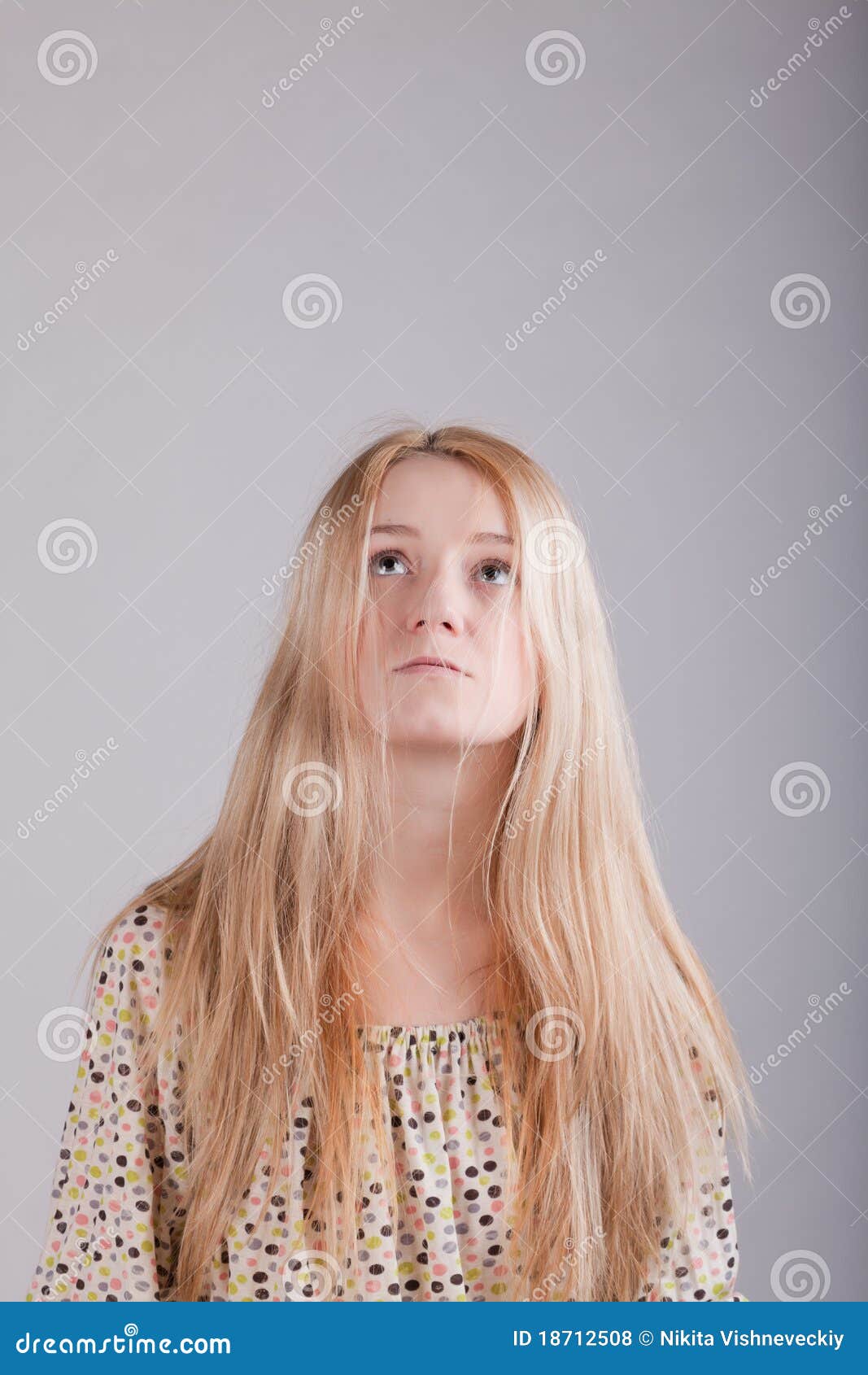 Wild looking stock photo. Image of looking, indoor, color - 18712508