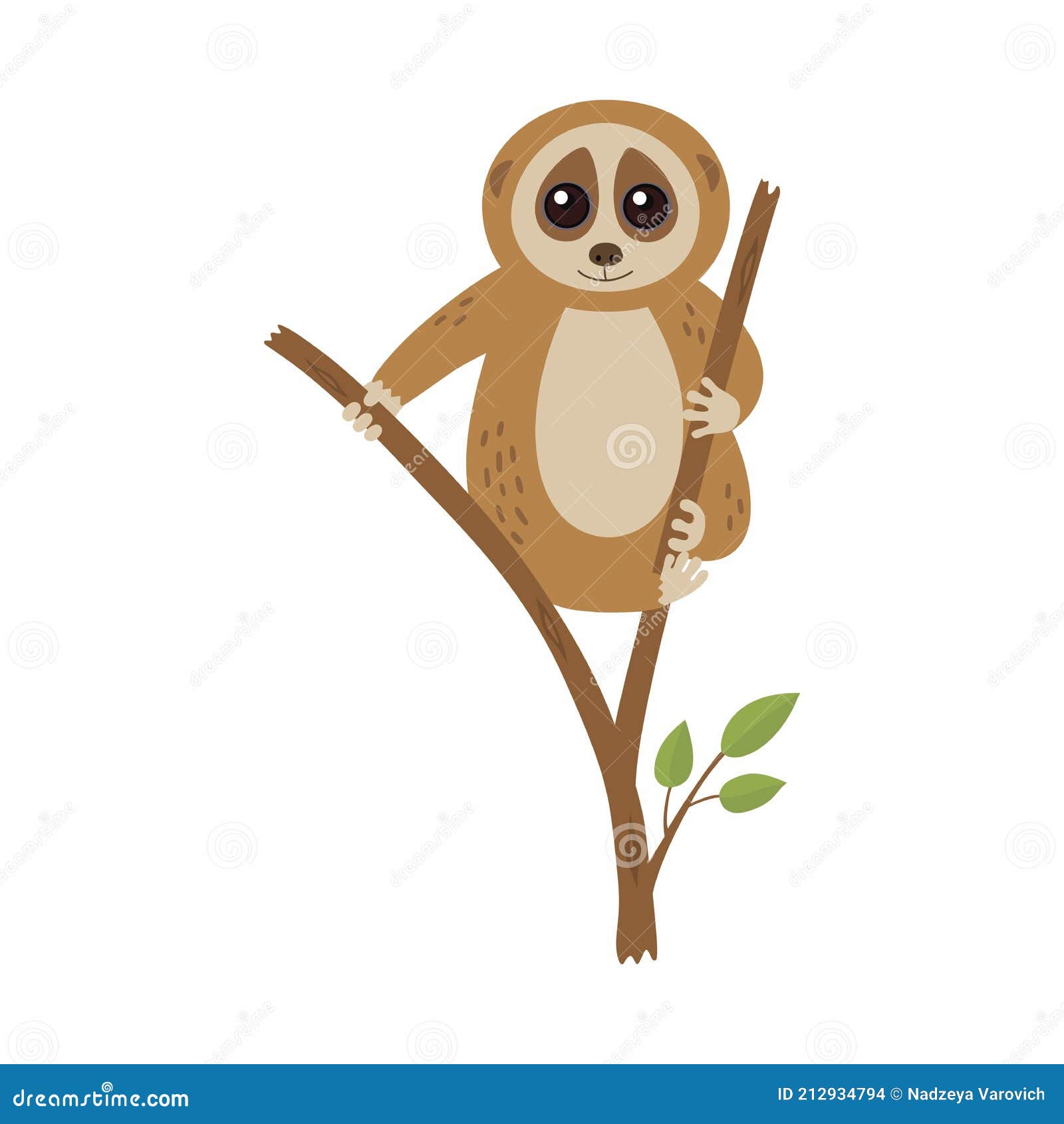 Wild Loris on the Branch. Vector Illustration Stock Vector ...