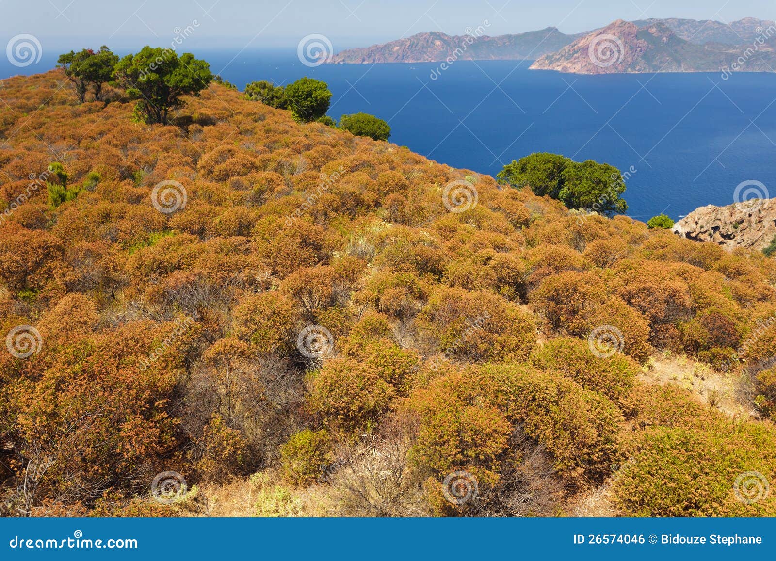 Wild Mediterranean Coastline Stock Photo - Image of france, coastline ...
