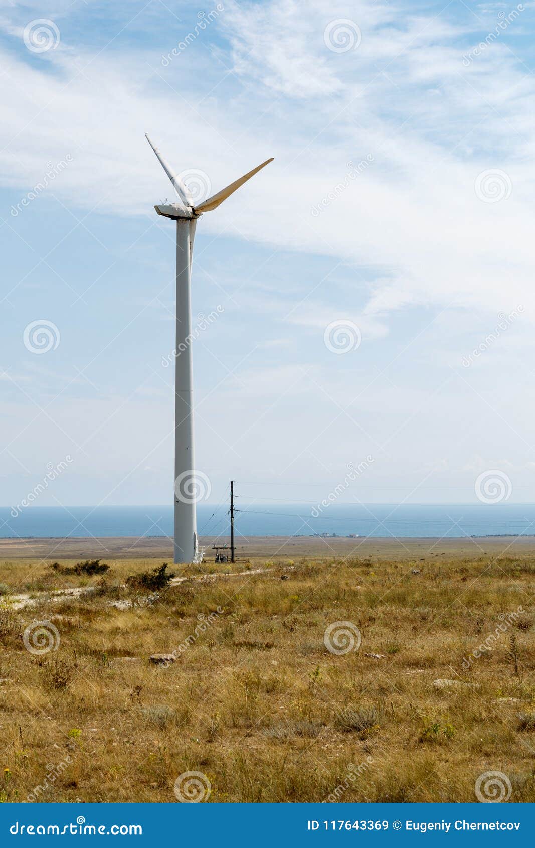 Wild mill in field stock image. Image of environmental - 117643369