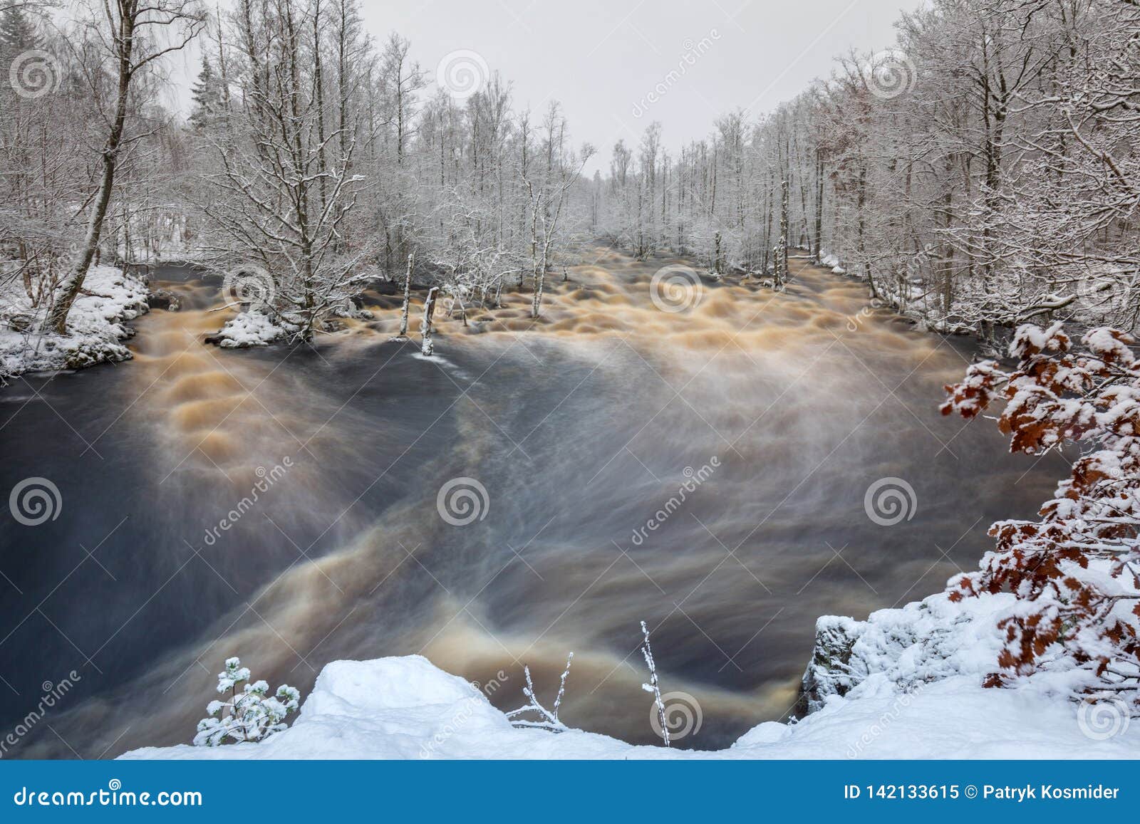 Wild Morrum River in Snowy Winter, Sweden Stock Image - Image of ...