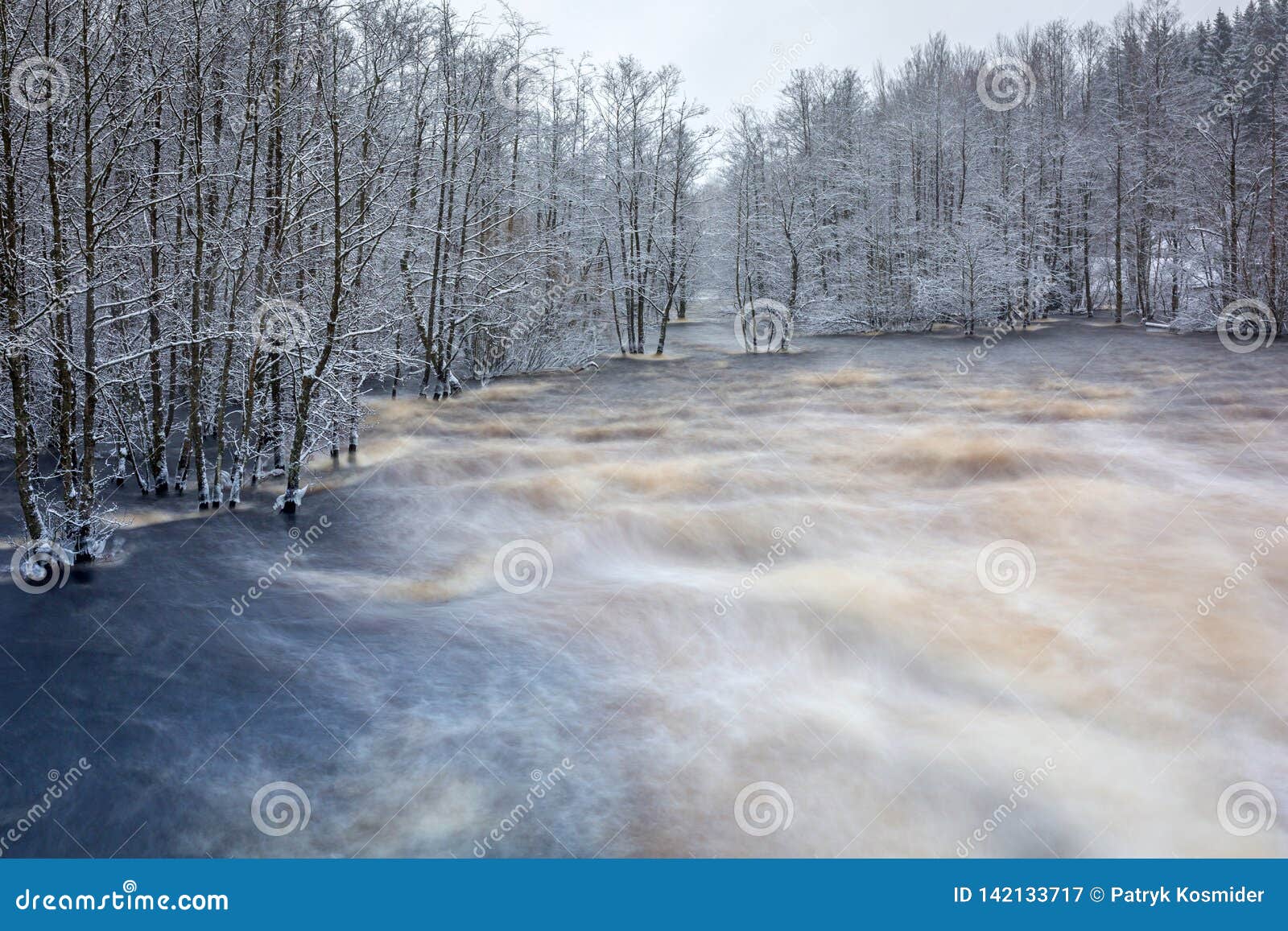 Wild Morrum River in Snowy Winter, Sweden Stock Image - Image of ...