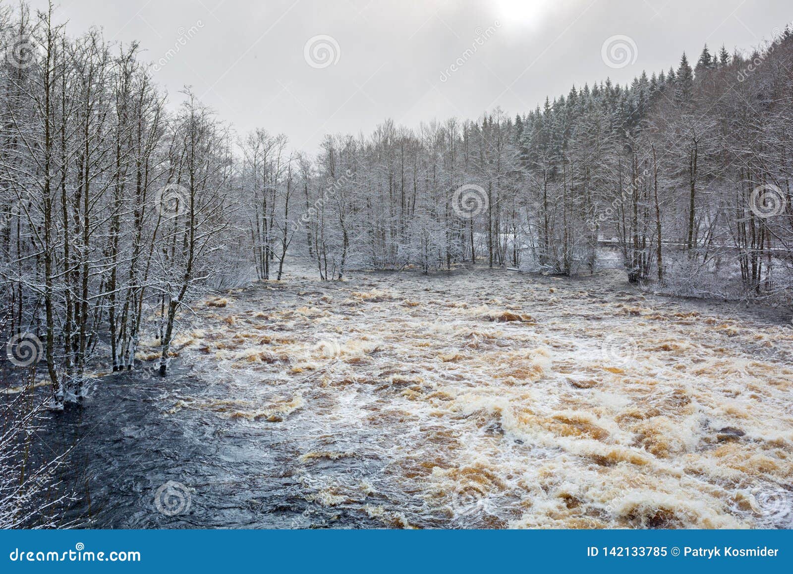 Wild Morrum River in Snowy Winter, Sweden Stock Image - Image of europe ...