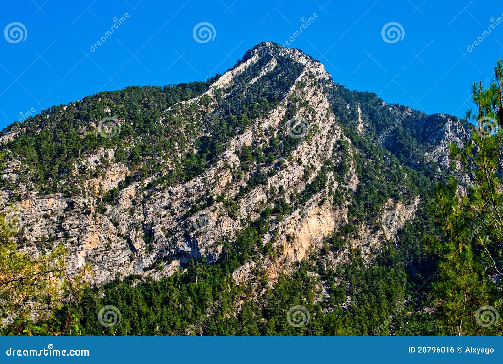 Wild mountains stock photo. Image of idyllic, pine, place - 20796016